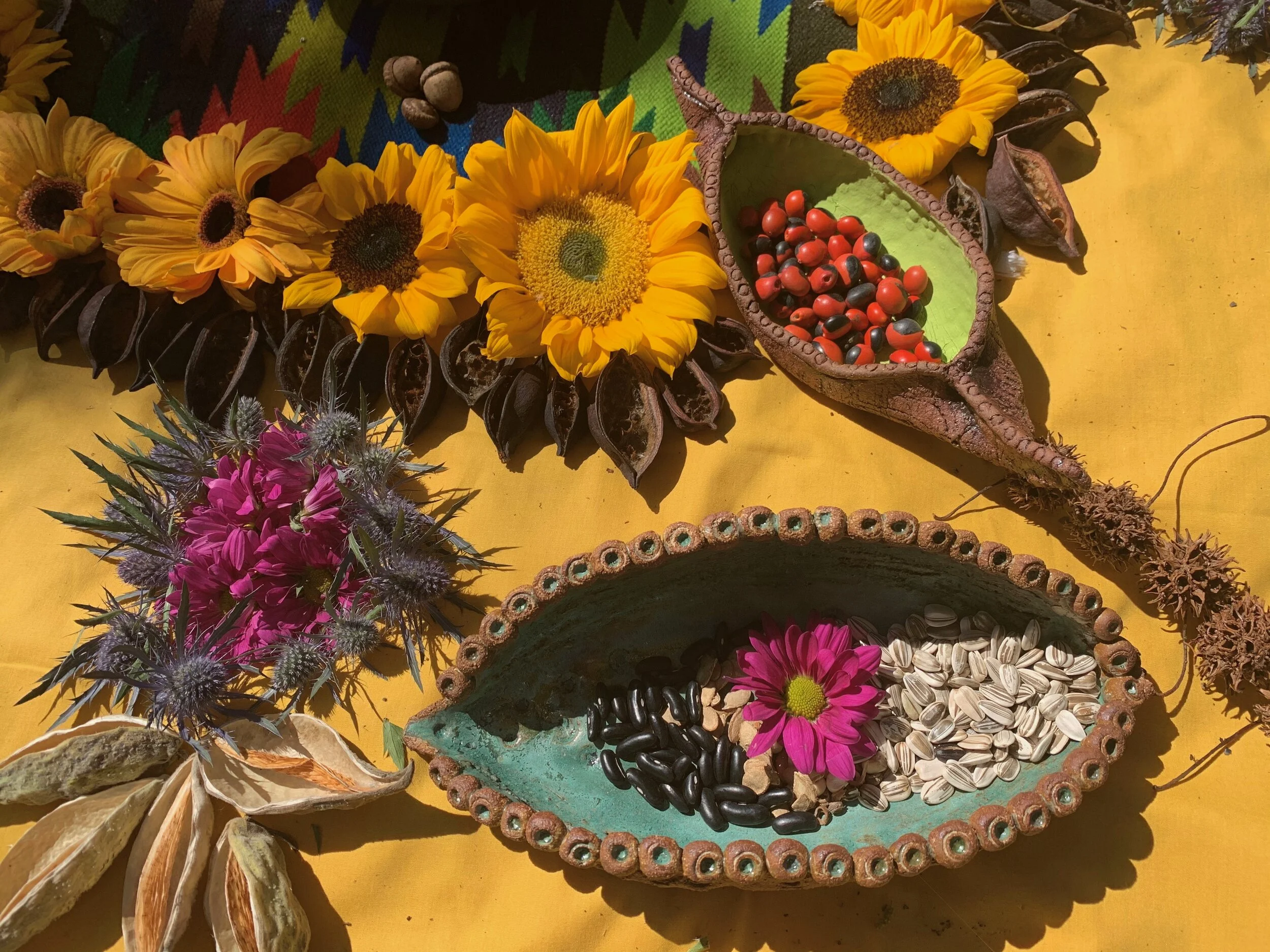 Earth Rites — Organization of Nature Evolutionaries