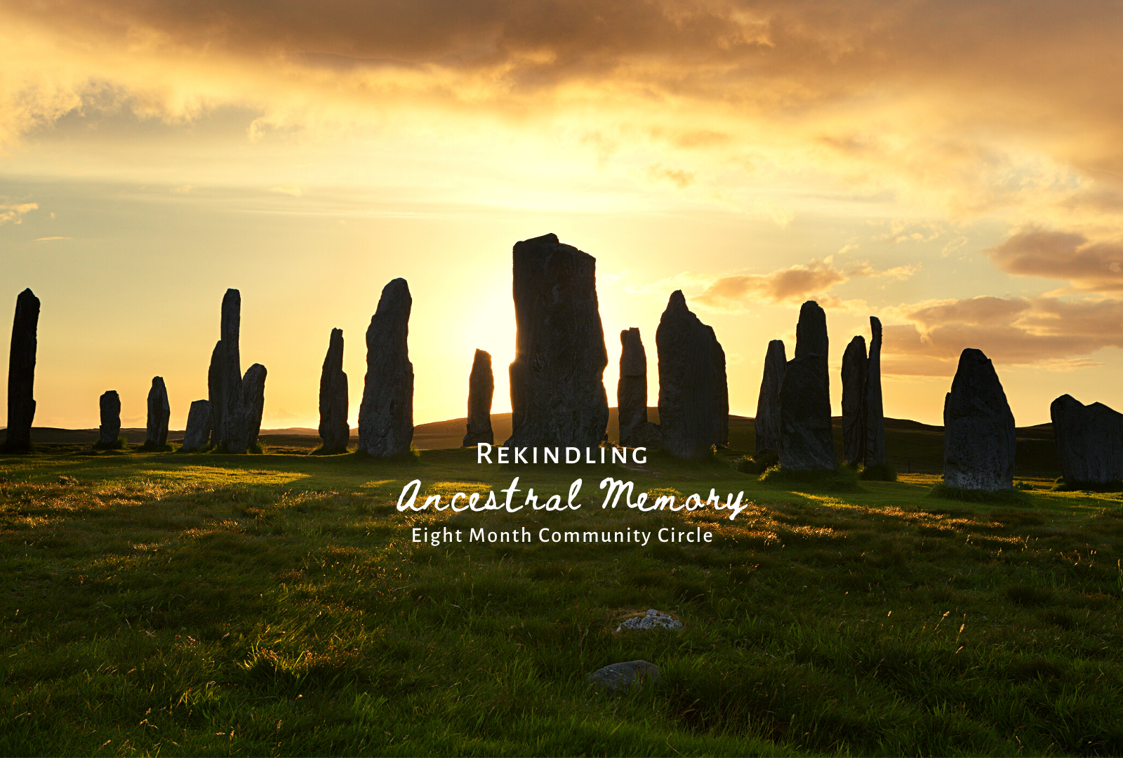 Rekindling Ancestral Memory — Organization of Nature Evolutionaries