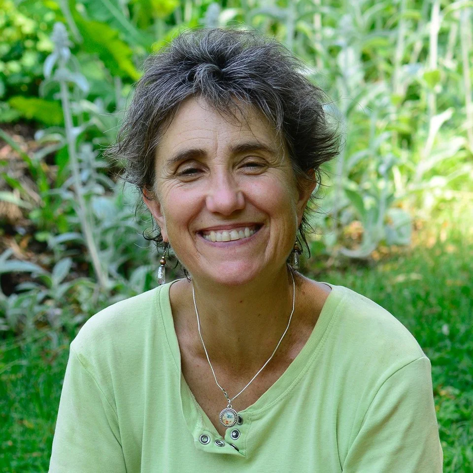 Grounding in Nature, Restoring Balance with Pam Montgomery, Deb Soule ...