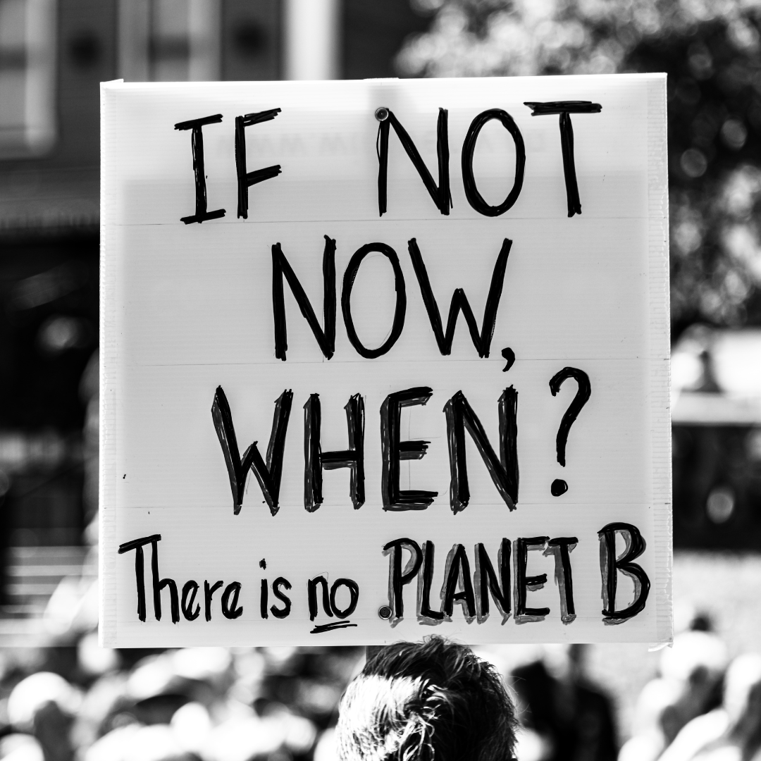 Earth Rights — Organization of Nature Evolutionaries