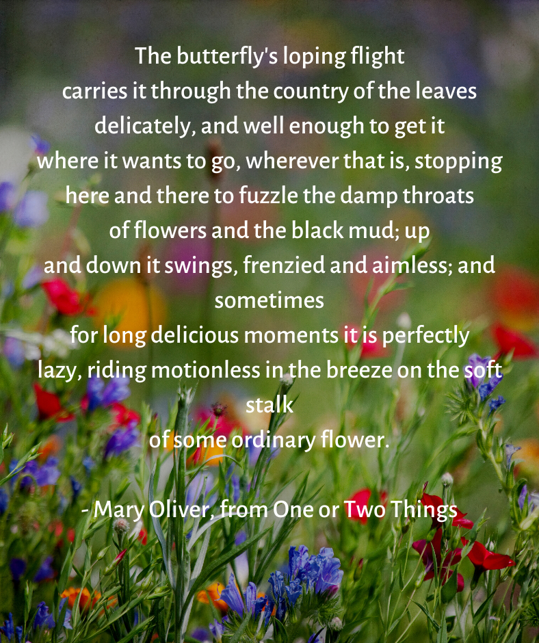 Pollinator Gratitude Ceremony — Organization of Nature Evolutionaries