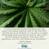 The Generosity of Plants — Organization of Nature Evolutionaries
