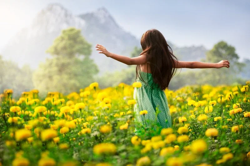 Kinship with Nature Course — Organization of Nature Evolutionaries