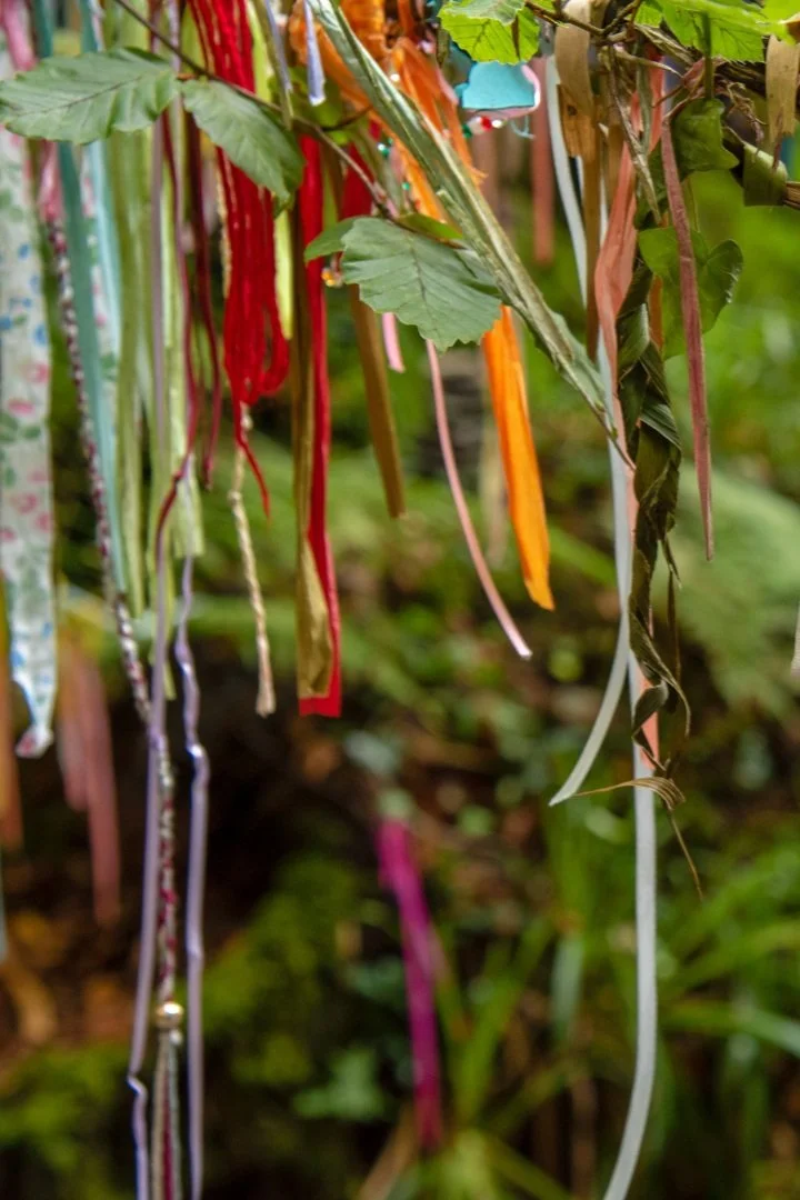 Rekindling Ancestral Memory — Organization of Nature Evolutionaries