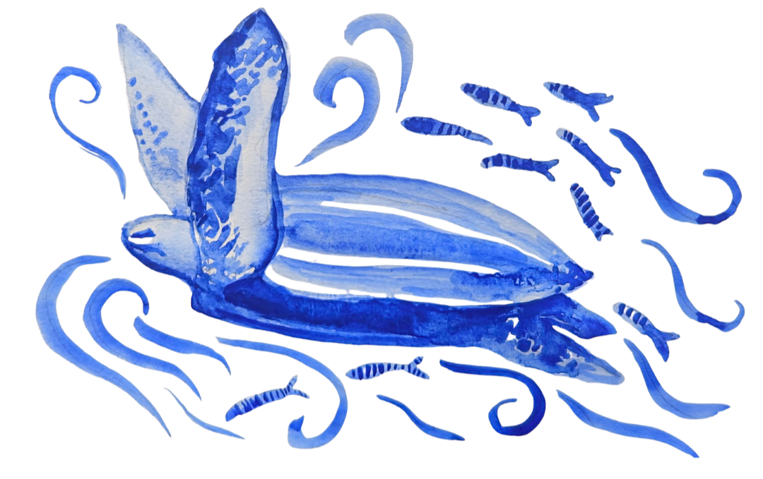 Ocean Conversations and Gratitude Ceremony — Organization of Nature ...