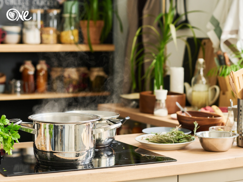 In the Kitchen with Laura Parisi — Organization of Nature Evolutionaries