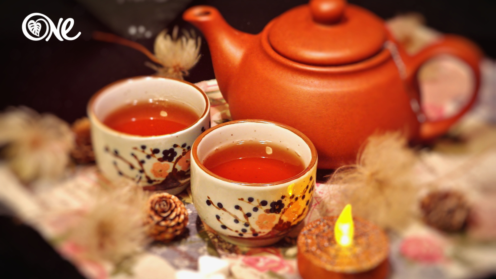 ONE Members' Community Meet-up: Rejuvenation and Connection, Community ...