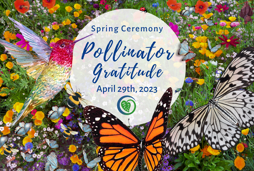 Pollinator Gratitude Ceremony — Organization of Nature Evolutionaries