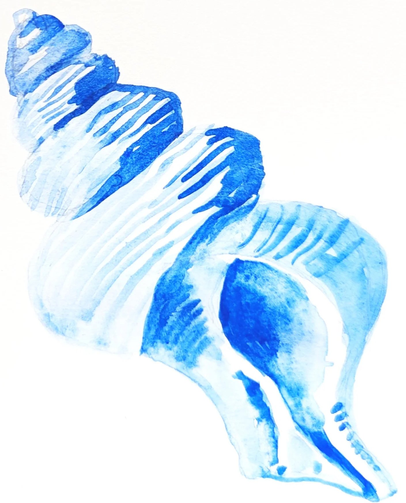 Ocean Conversations and Gratitude Ceremony — Organization of Nature ...