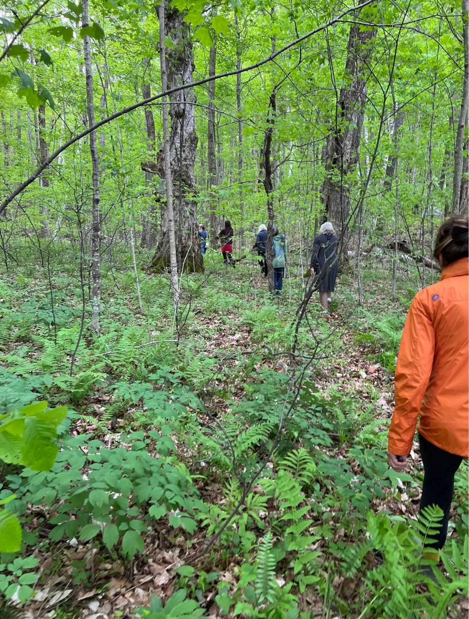 Weaving Sacred Earth Activism: ONE’s Earth Treasure Vase Ceremony ...