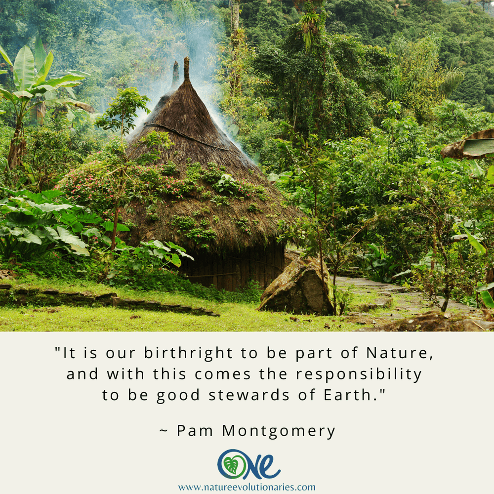 Stewards of Earth — Organization of Nature Evolutionaries