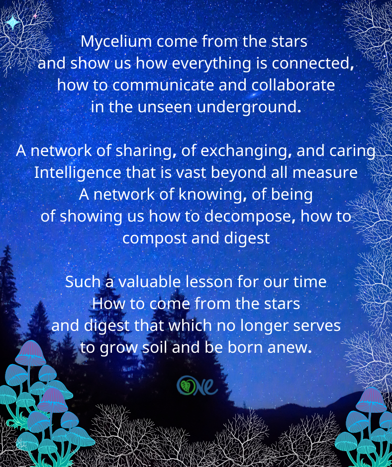 Mycelium Gratitude Ceremony — Organization of Nature Evolutionaries