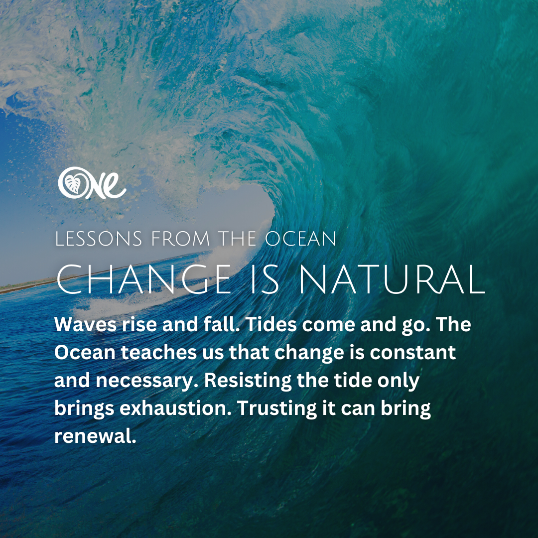 Ocean Conversations and Gratitude Ceremony — Organization of Nature ...