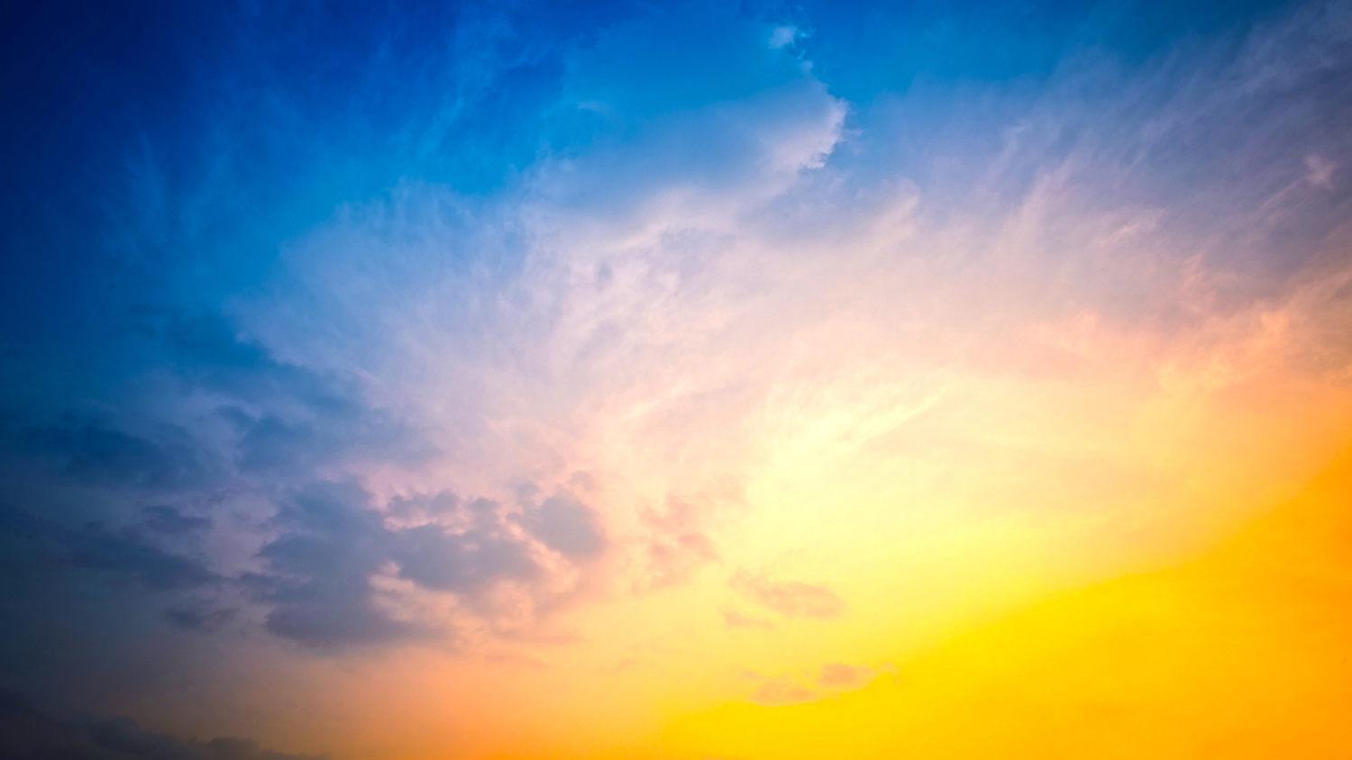 Kinship with Nature Course — Organization of Nature Evolutionaries