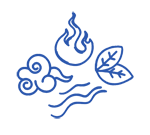 Kinship with Nature Course — Organization of Nature Evolutionaries