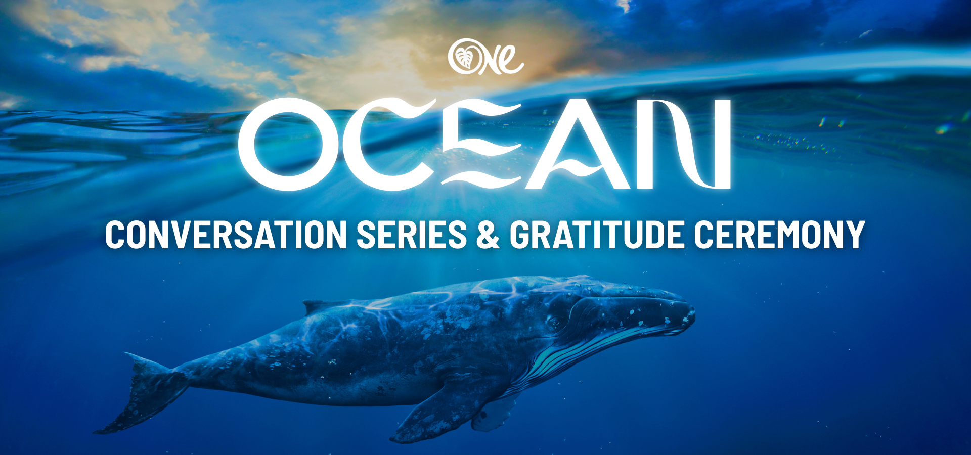 Ocean Conversations and Gratitude Ceremony — Organization of Nature ...