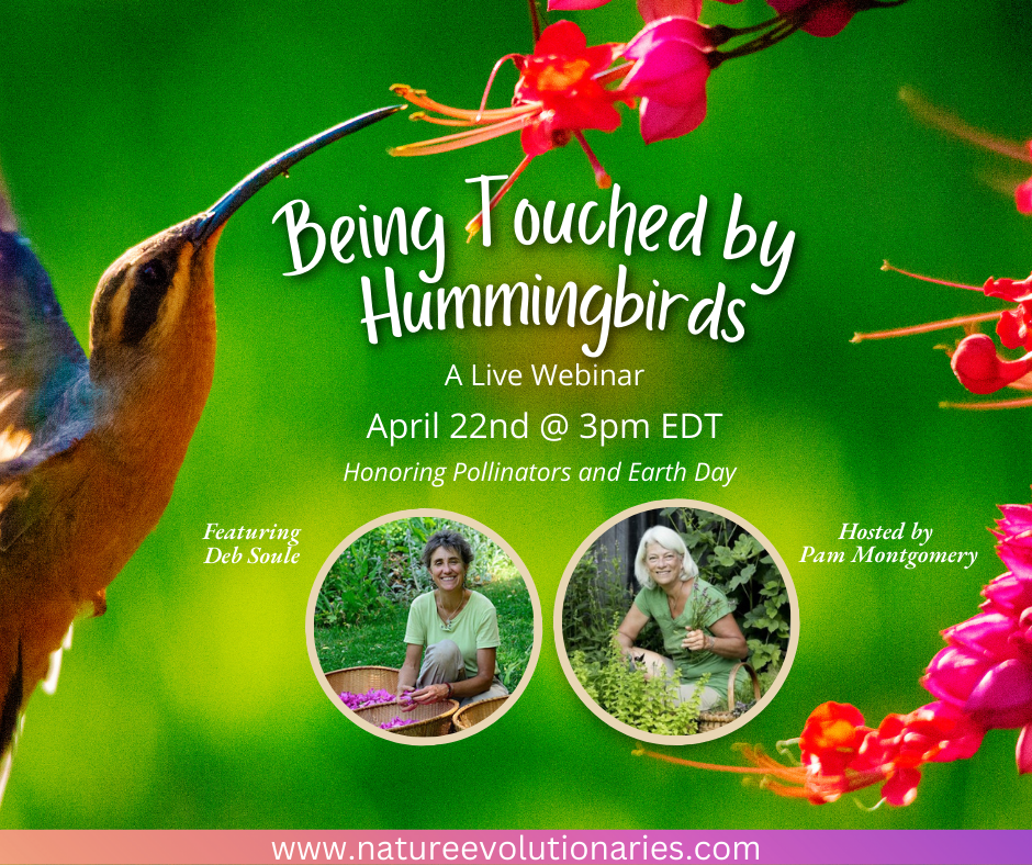 Pollinator Gratitude Ceremony — Organization of Nature Evolutionaries