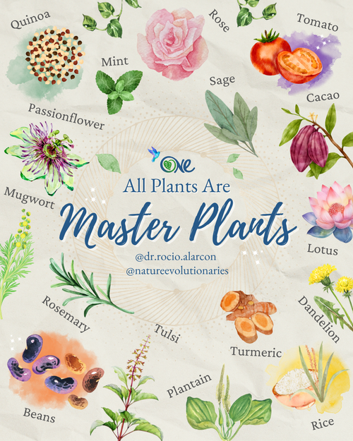 The Physical and Spiritual Intelligence of Plants with Rocio Alarcon ...