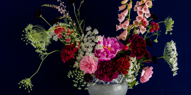 The Art of Flower Photography — Emma Davies Photography