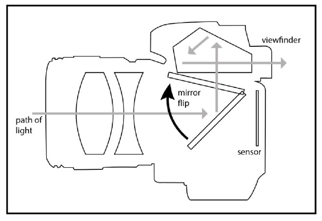 Macro 1 — Emma Davies Photography