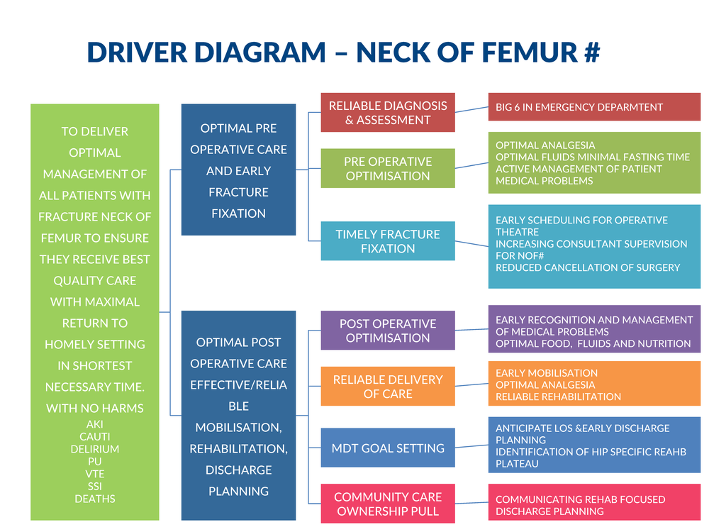 Driver Diagram — Lothian Quality