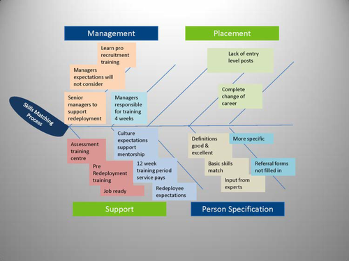 Fishbone diagram — Lothian Quality