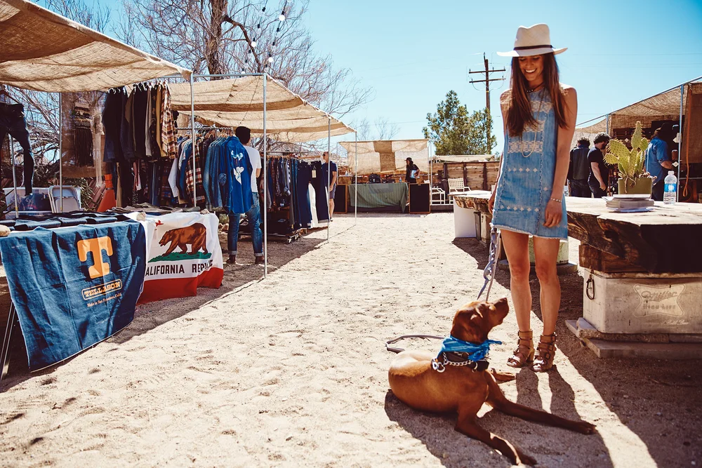 Bio — Faith Sandberg