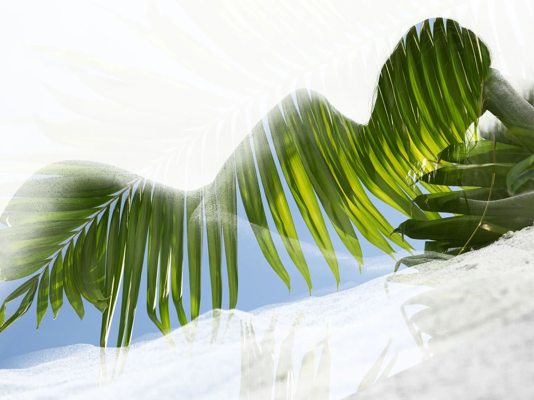 Double Exposures — Nathan Coe