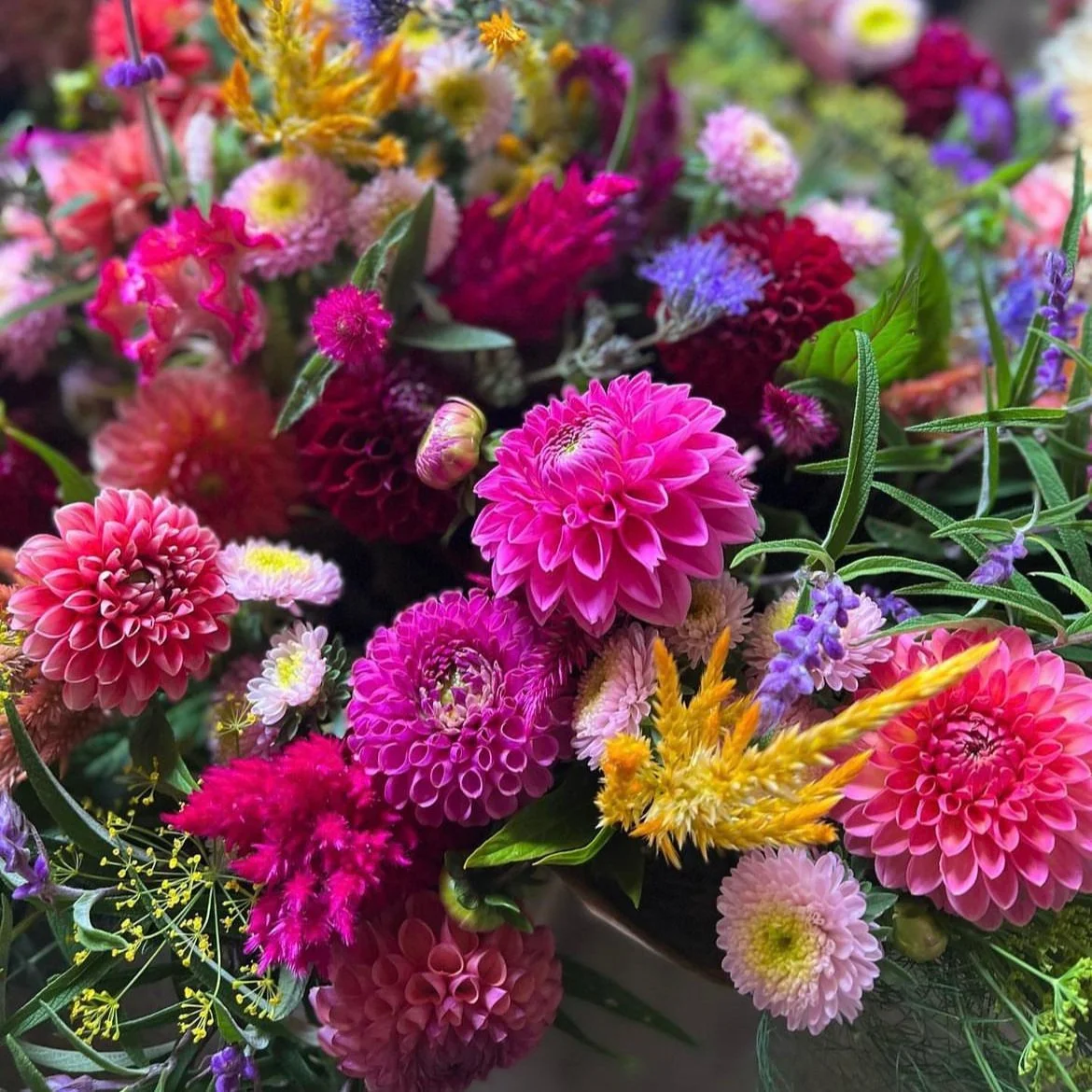 2023 CSA and Farm Share Guide — Edible Ohio Valley