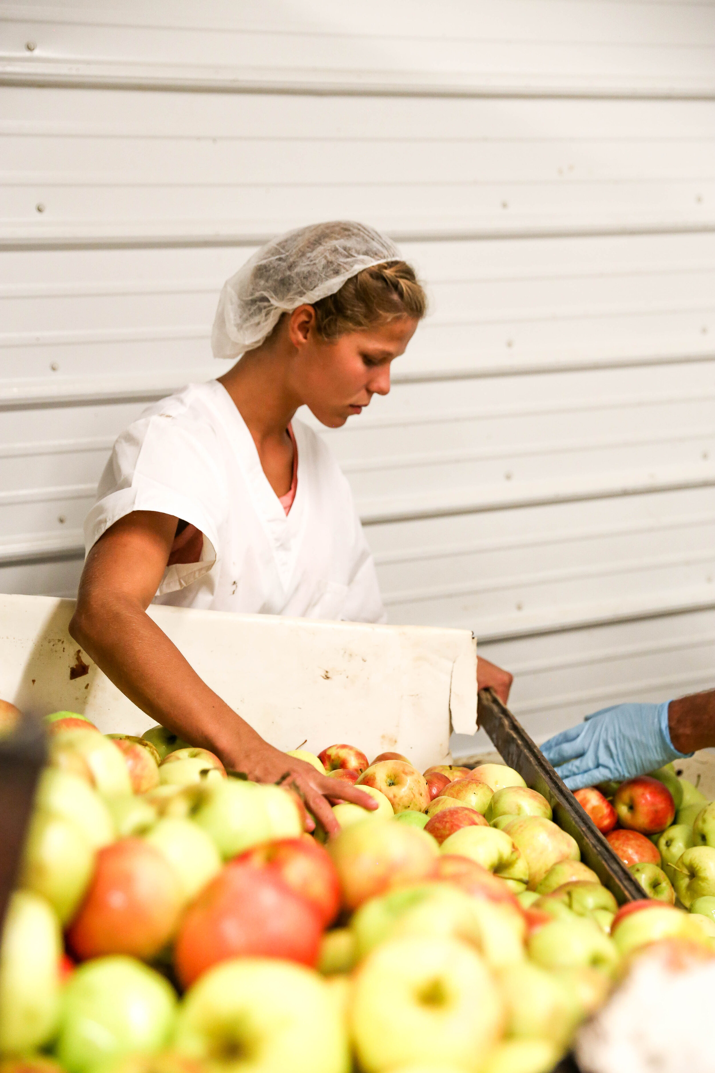 Wesler Cider at Dorothy Lane Markets — Edible Ohio Valley