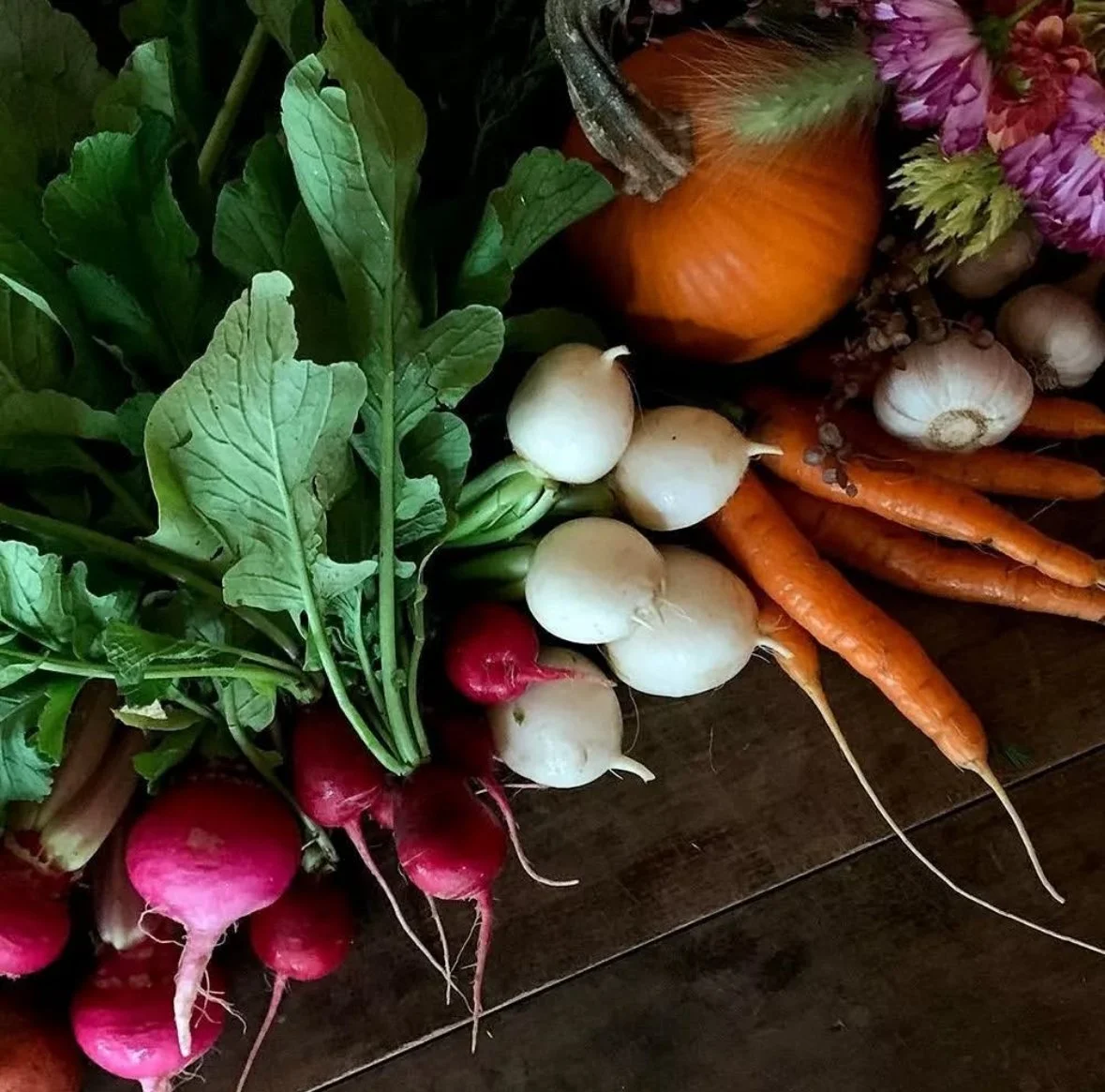 2025 CSA and Farm Share Guide — Edible Ohio Valley