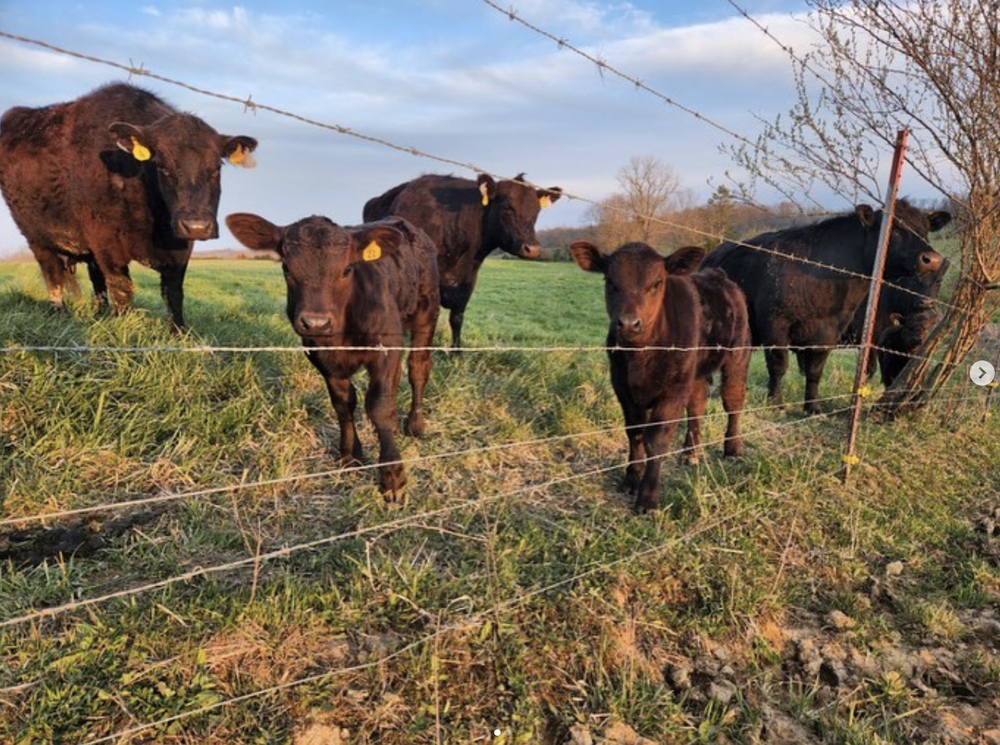 2025 CSA and Farm Share Guide — Edible Ohio Valley