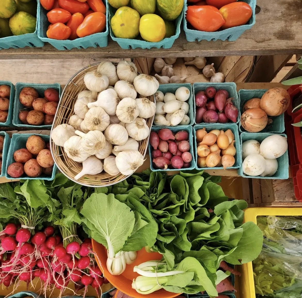 2023 CSA and Farm Share Guide — Edible Ohio Valley