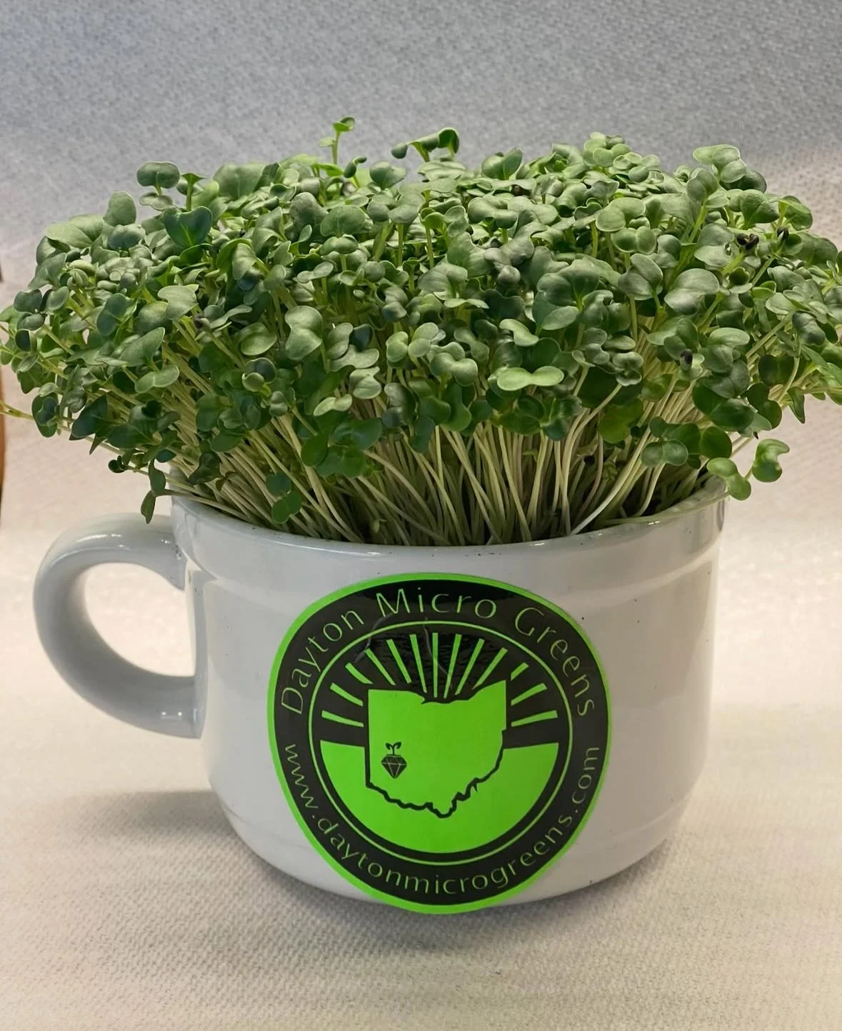 2025 CSA and Farm Share Guide — Edible Ohio Valley