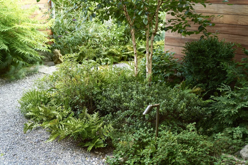 Services - Huntergreen