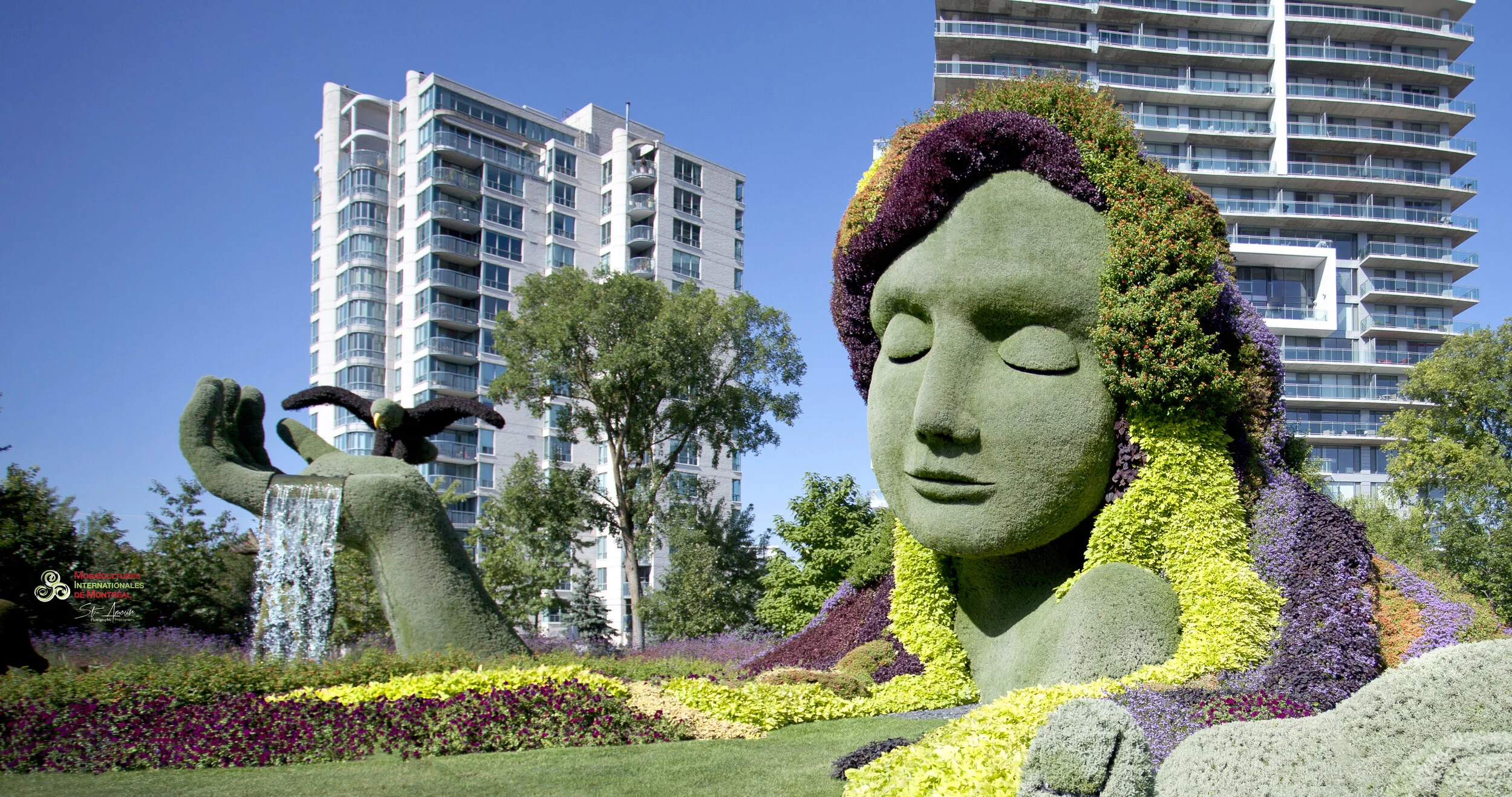 St-Amour Photographie Education et Coaching