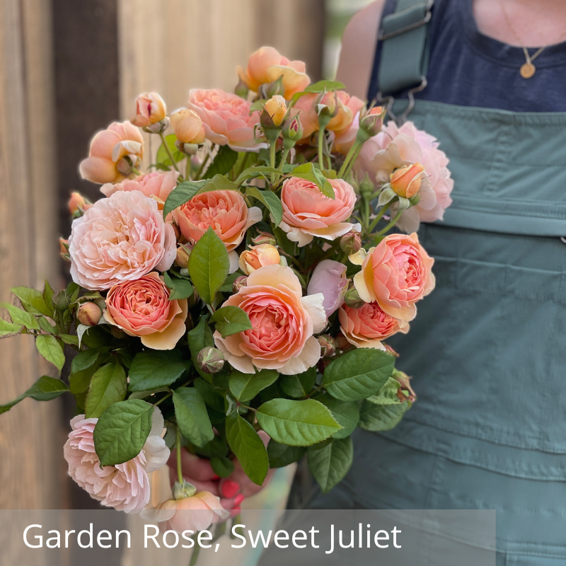 Flower Collection — SHEGROWS