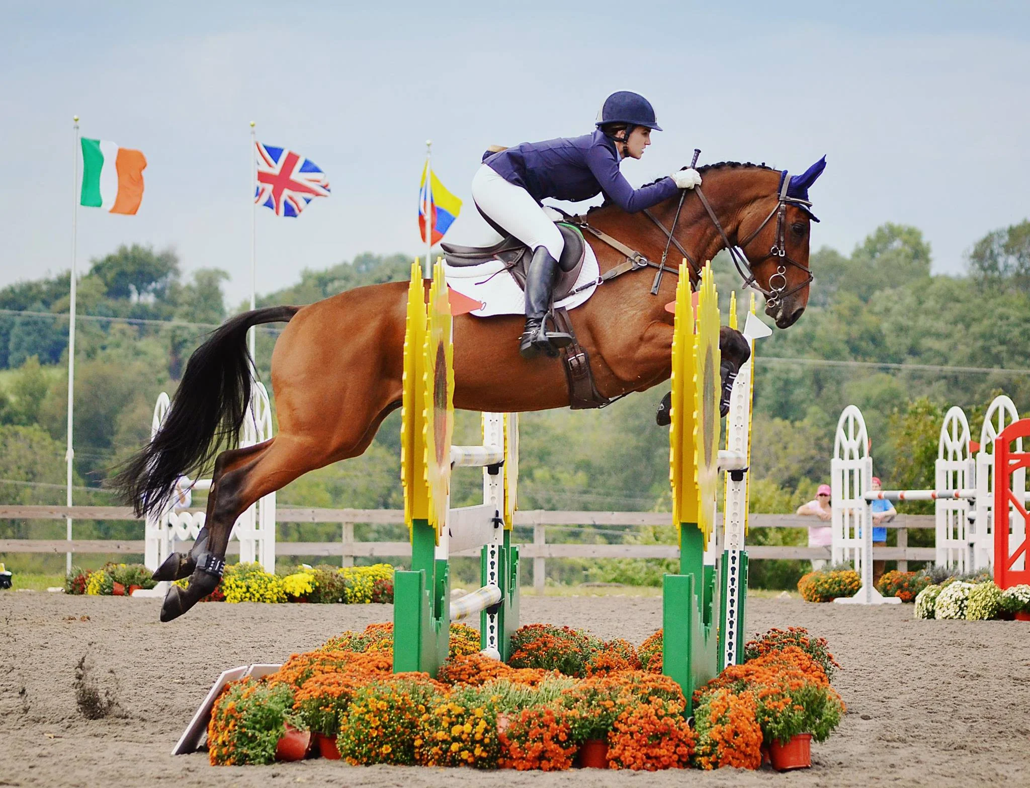 Kate Samuels Equestrian