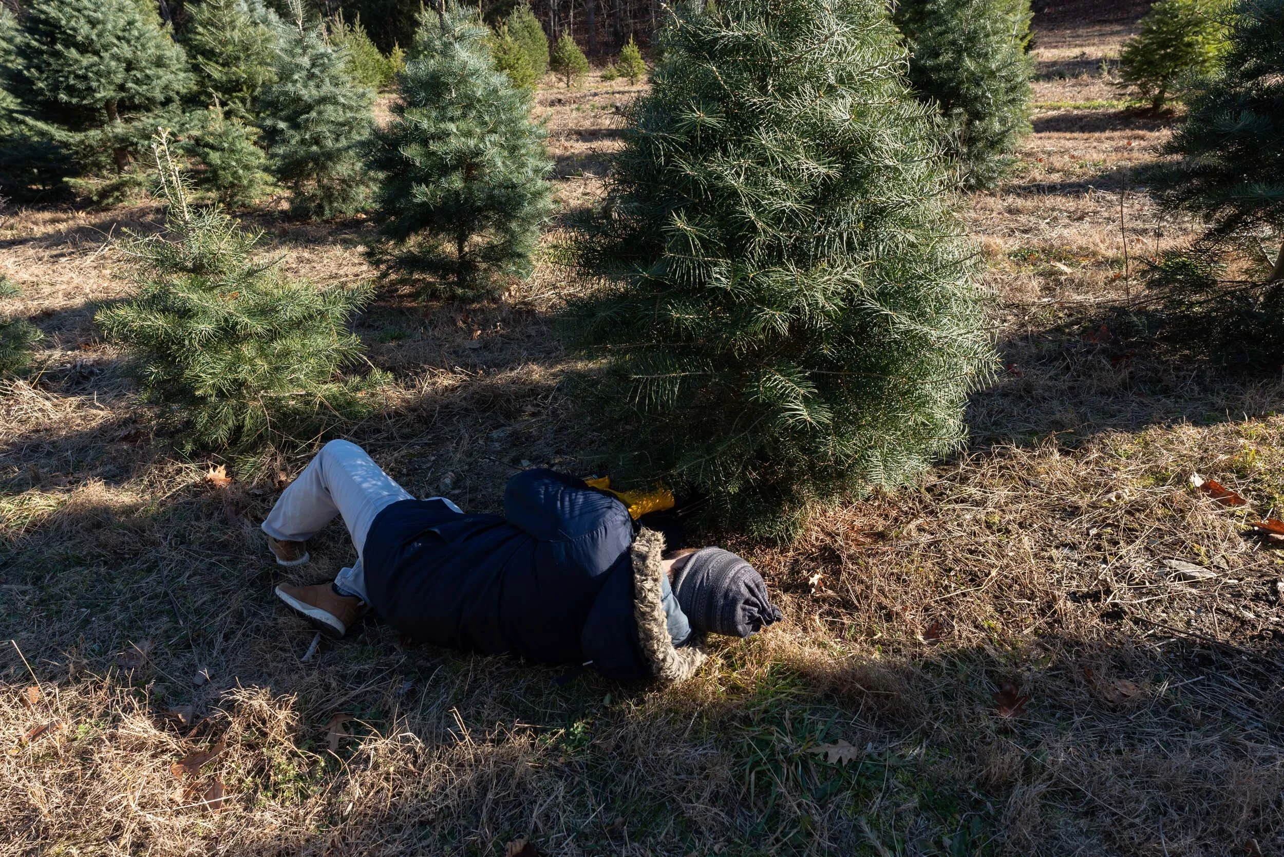 Battenfeld Christmas Tree Farm — Nicholas Doyle Photography