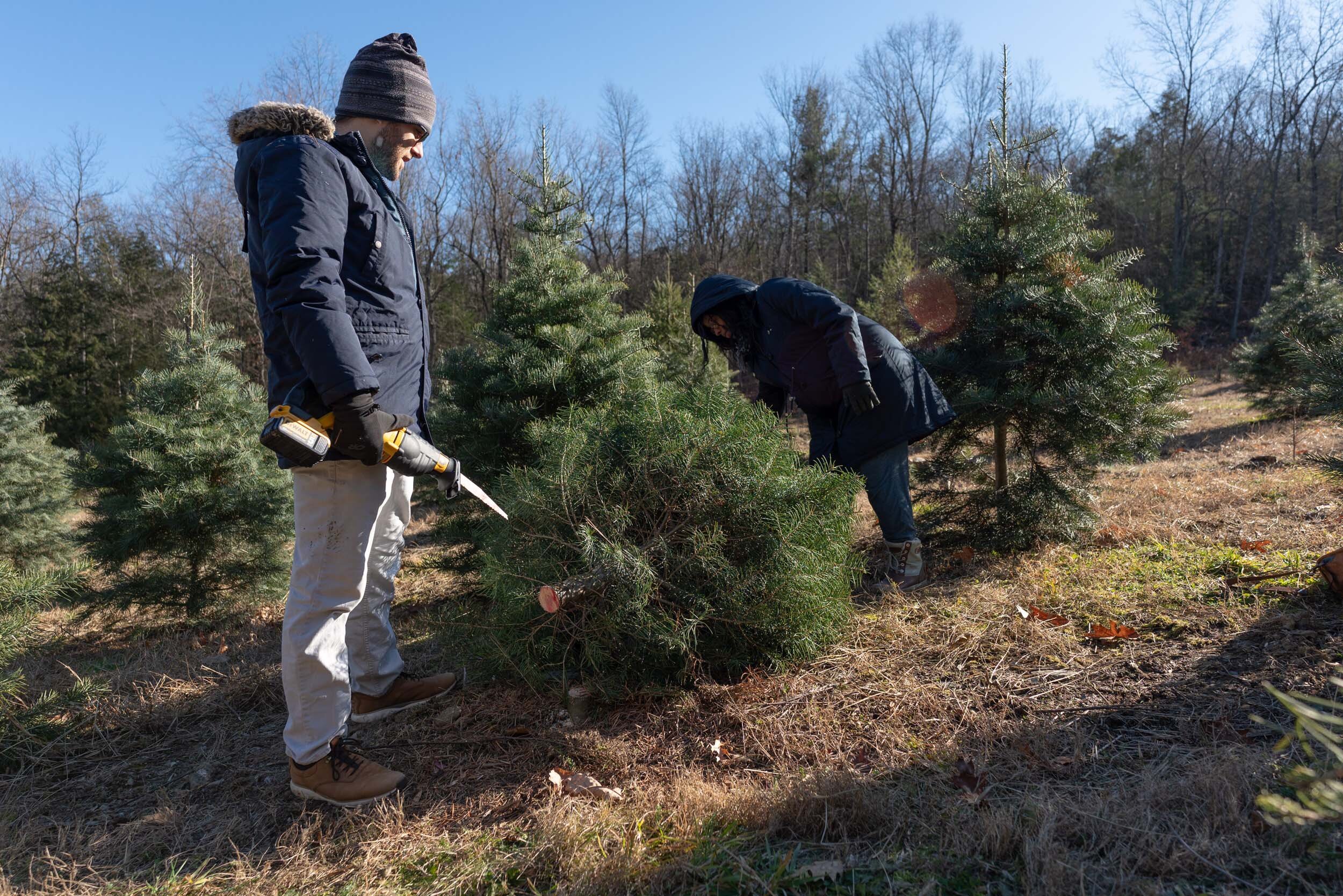 Battenfeld Christmas Tree Farm — Nicholas Doyle Photography