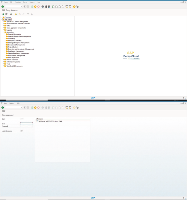 SAP S/4 HANA access - IDES24 - Simply rent SAP