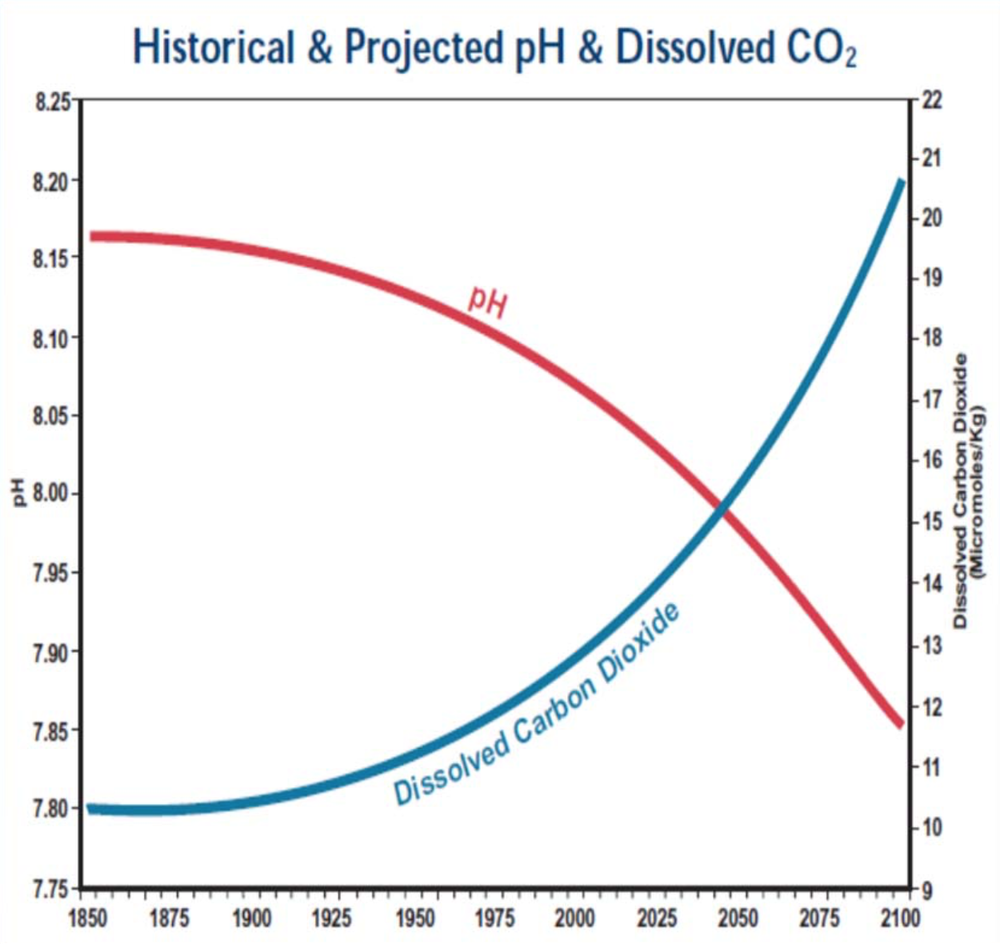 How Companies Can Prepare For Climate Change — KERAMIDA Inc.