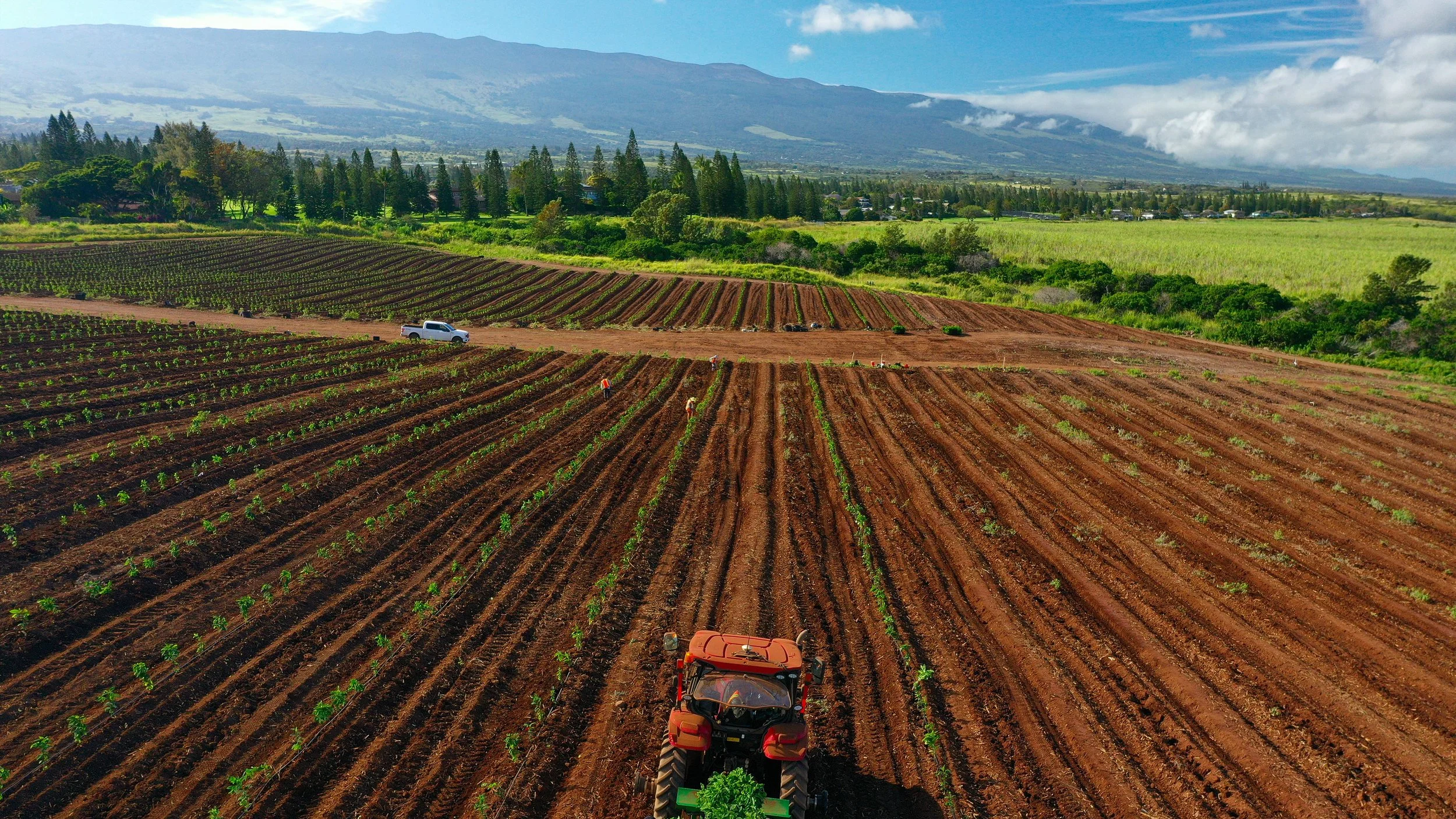 GHG Emissions Inventory & Carbon Capture for Mahi Pono Farm, Hawaii ...