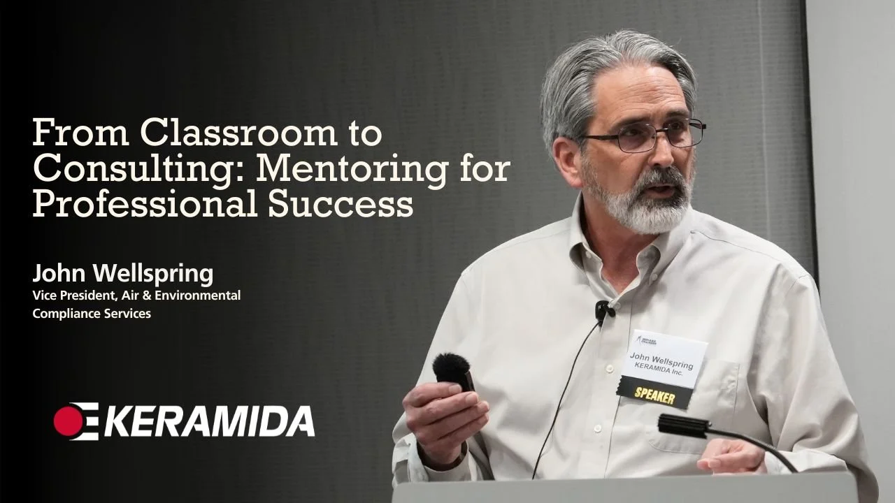 From Classroom to Consulting: Mentoring for Professional Success ...