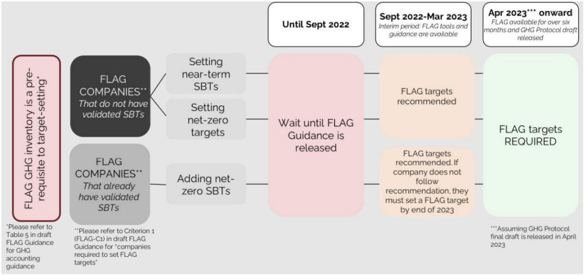 Should You Be Accounting for FLAG Emissions? — KERAMIDA Inc.