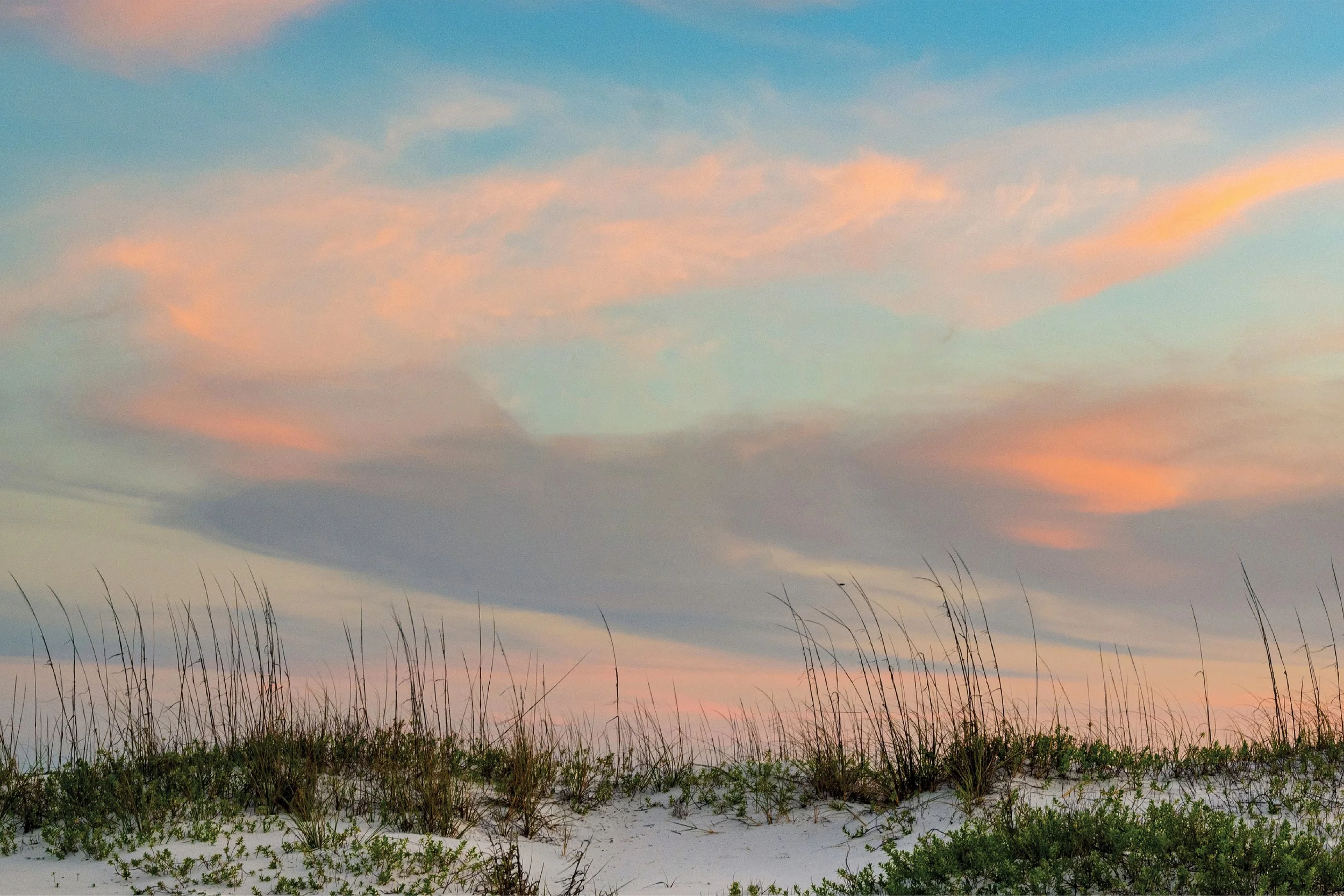 Canopy at Babcock Ranch