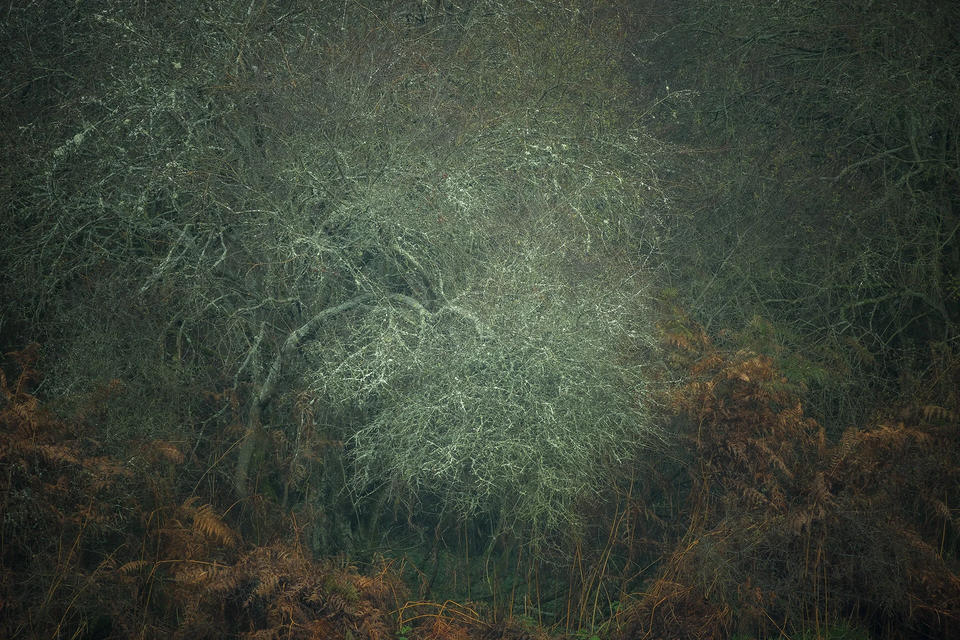 PORTFOLIO — Paul Mitchell Photography