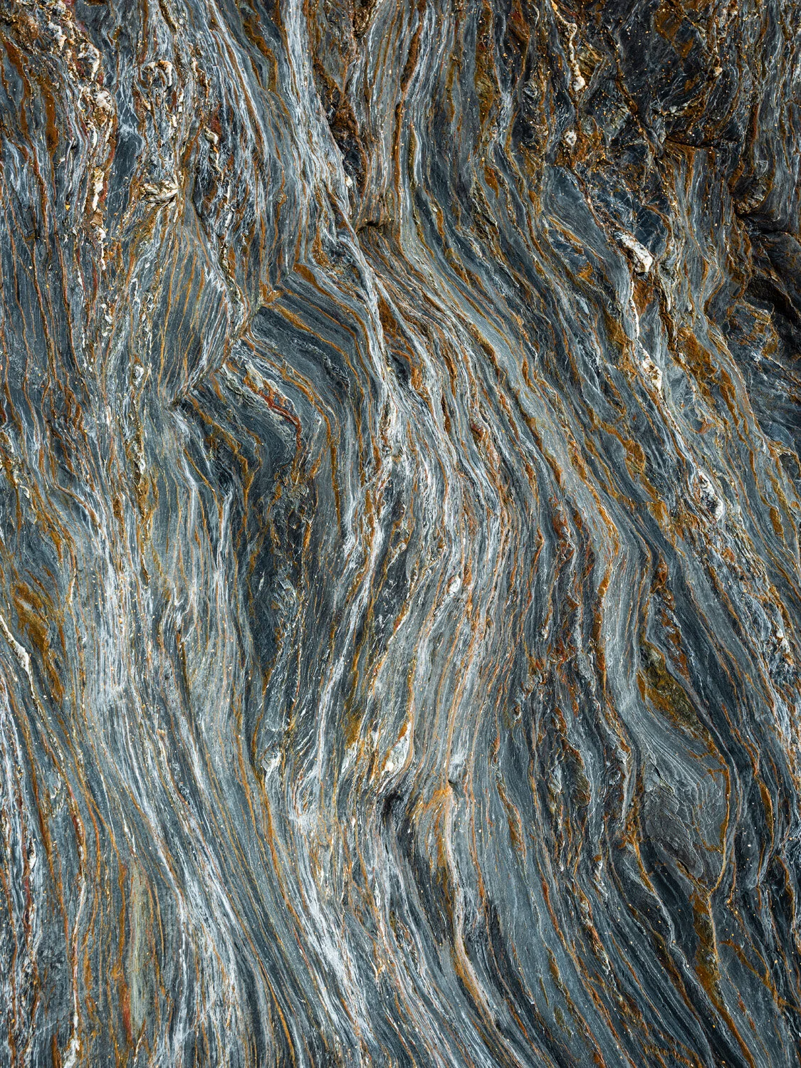 PORTFOLIO — Paul Mitchell Photography