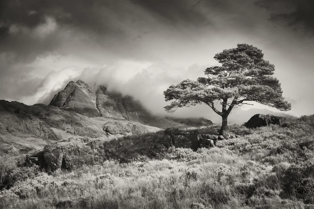 Paul Mitchell Photography