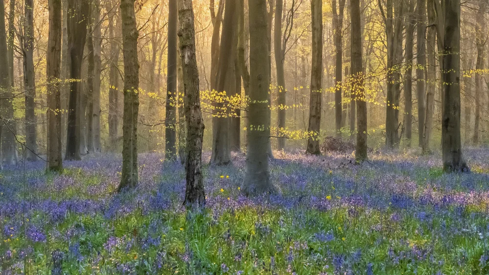 Paul Mitchell Photography